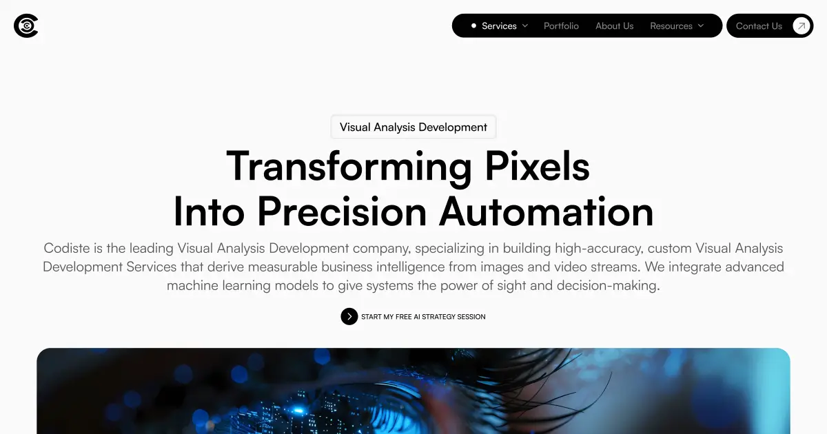 Visual Analysis | AI Development | Codiste